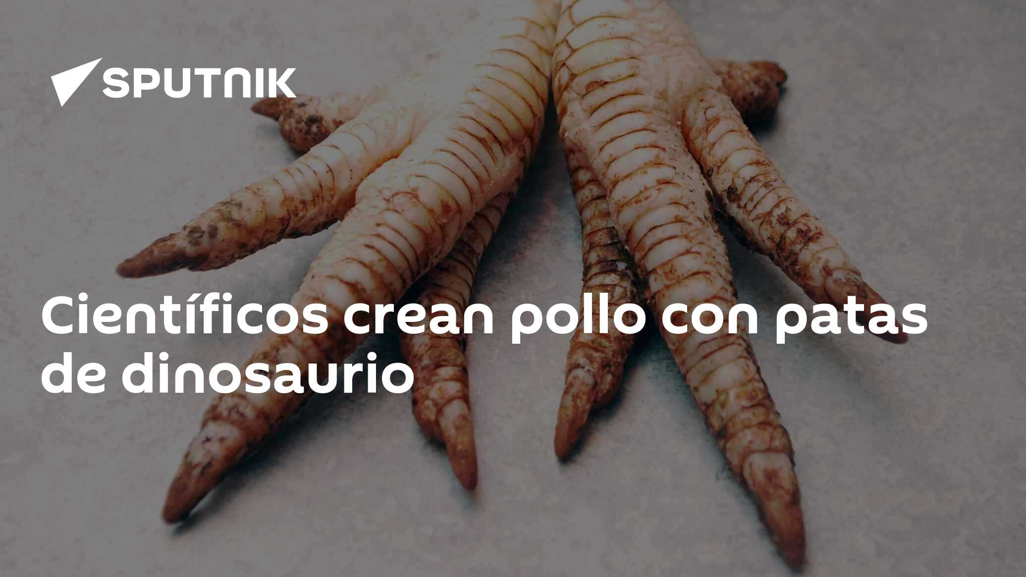 Científicos crean pollo con patas de dinosaurio - 11.03.2016, Sputnik Mundo
