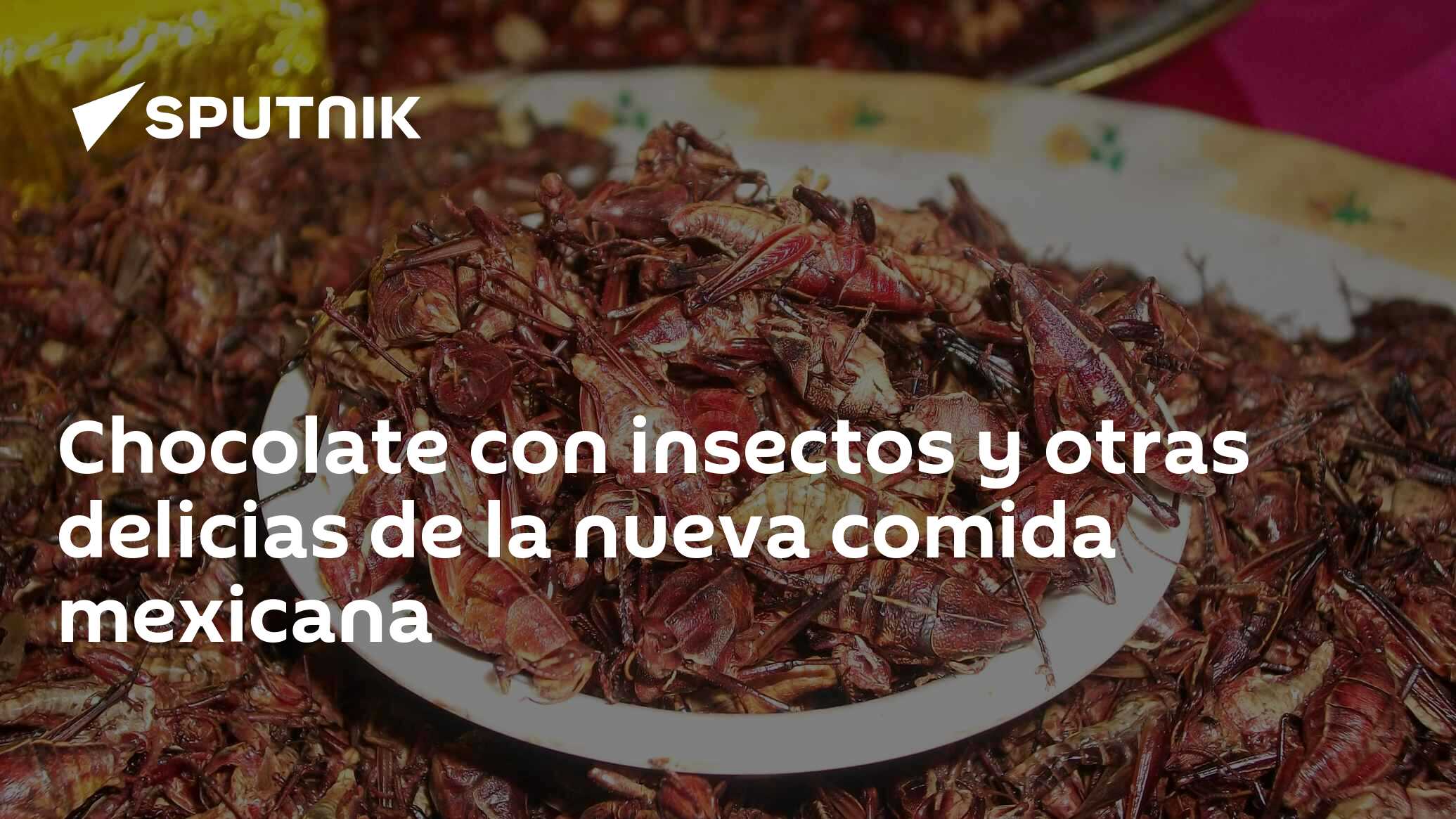 Chocolate con insectos y otras delicias de la nueva comida mexicana ...