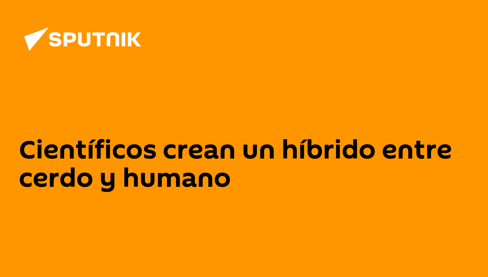 Científicos crean un híbrido entre cerdo y humano - 27.01.2017, Sputnik ...