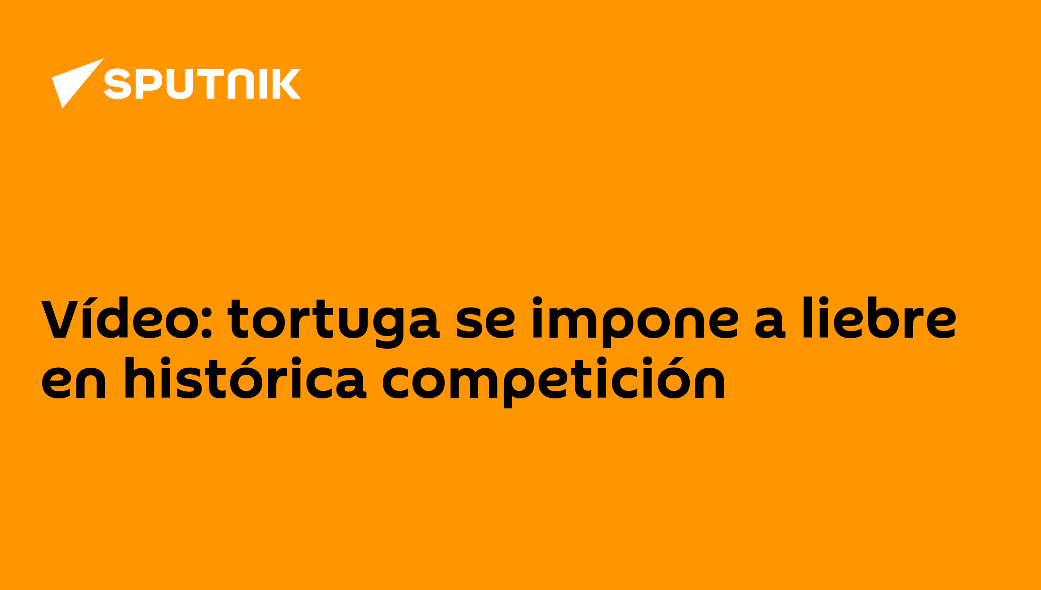 Vídeo: tortuga se impone a liebre en histórica competición - 17.02.2017 ...