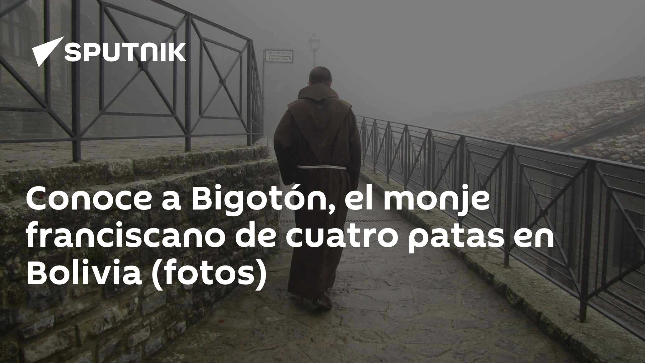 Conoce a Bigotón, el monje franciscano de cuatro patas en Bolivia ...