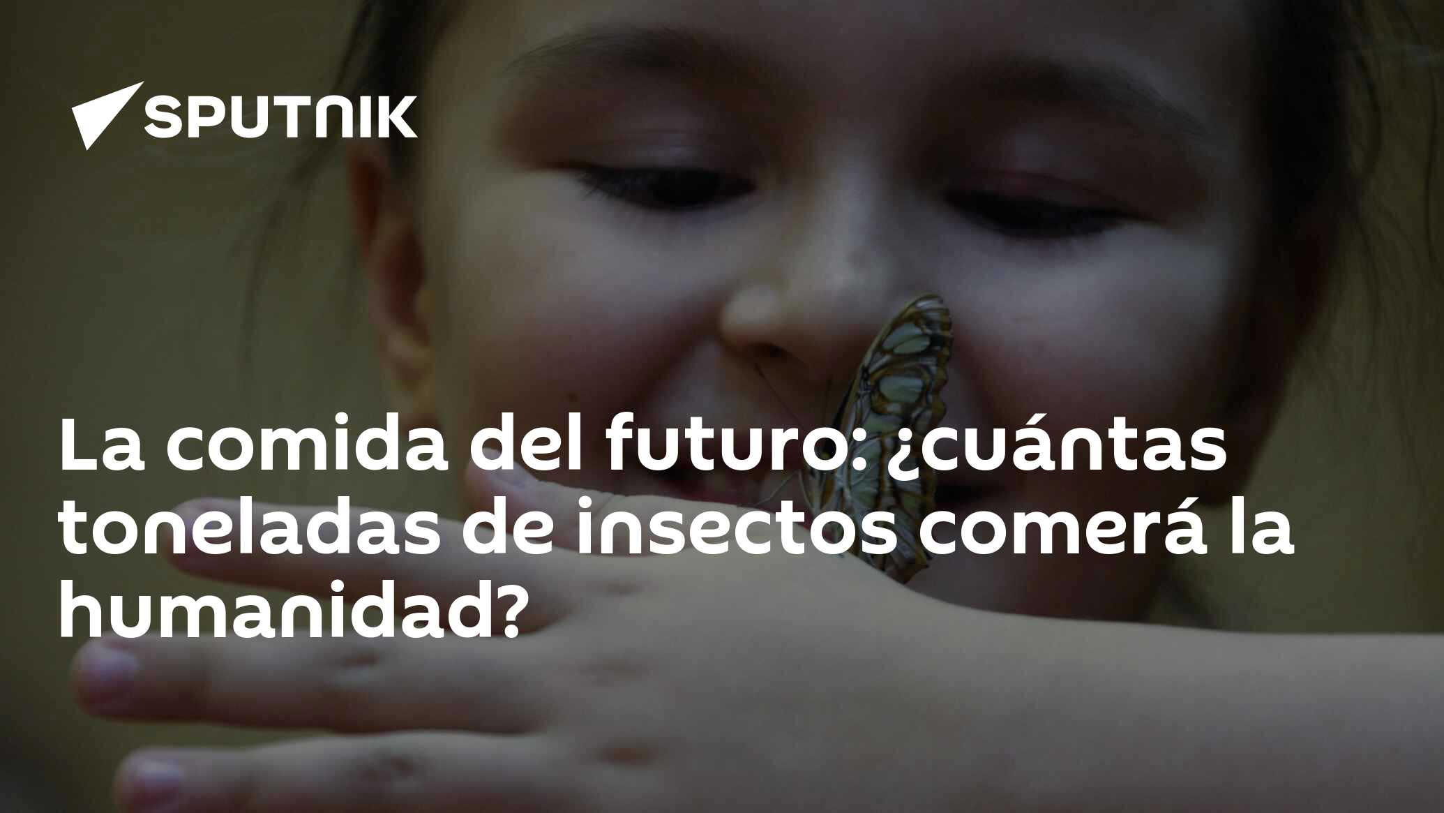 La comida del futuro: ¿cuántas toneladas de insectos comerá la ...
