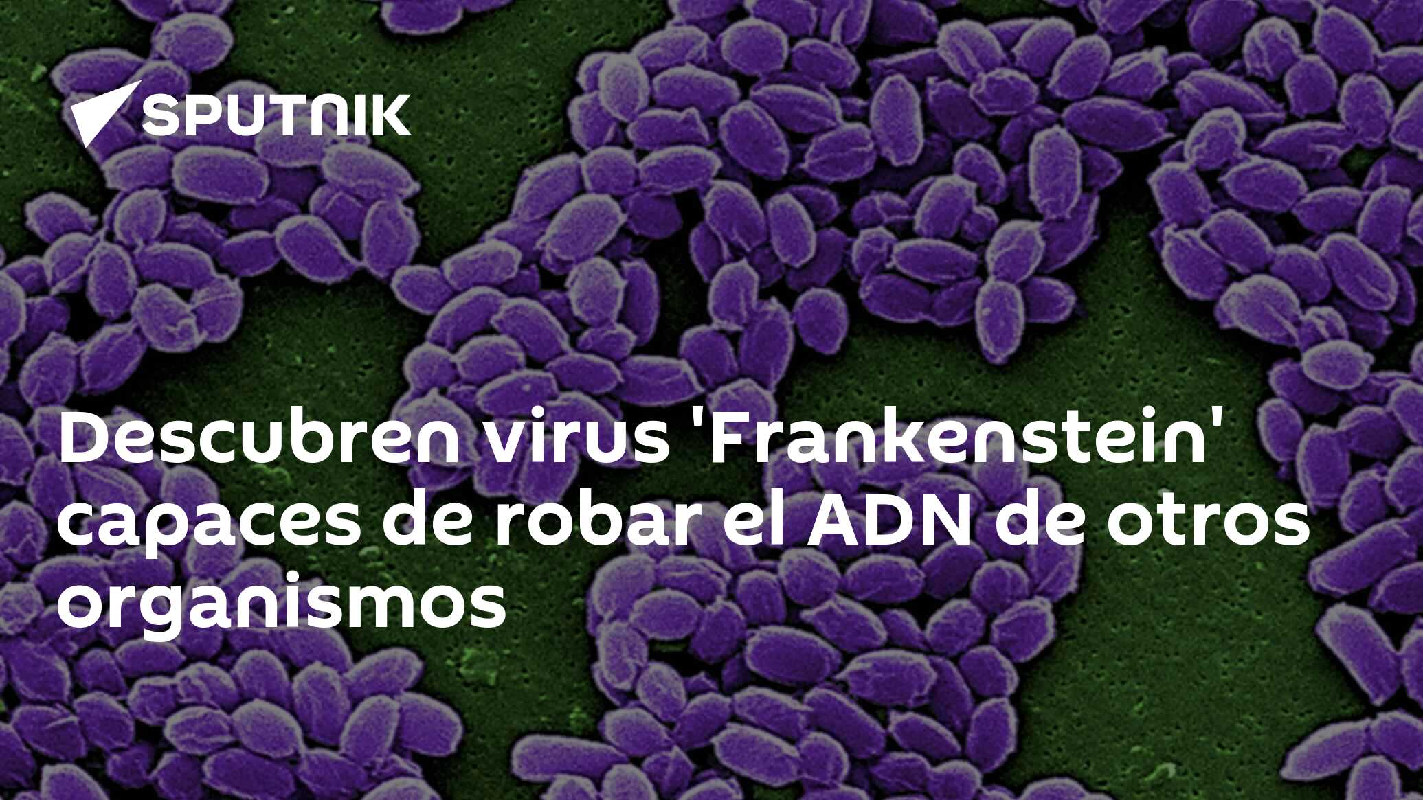 Descubren virus 'Frankenstein' capaces de robar el ADN de otros ...