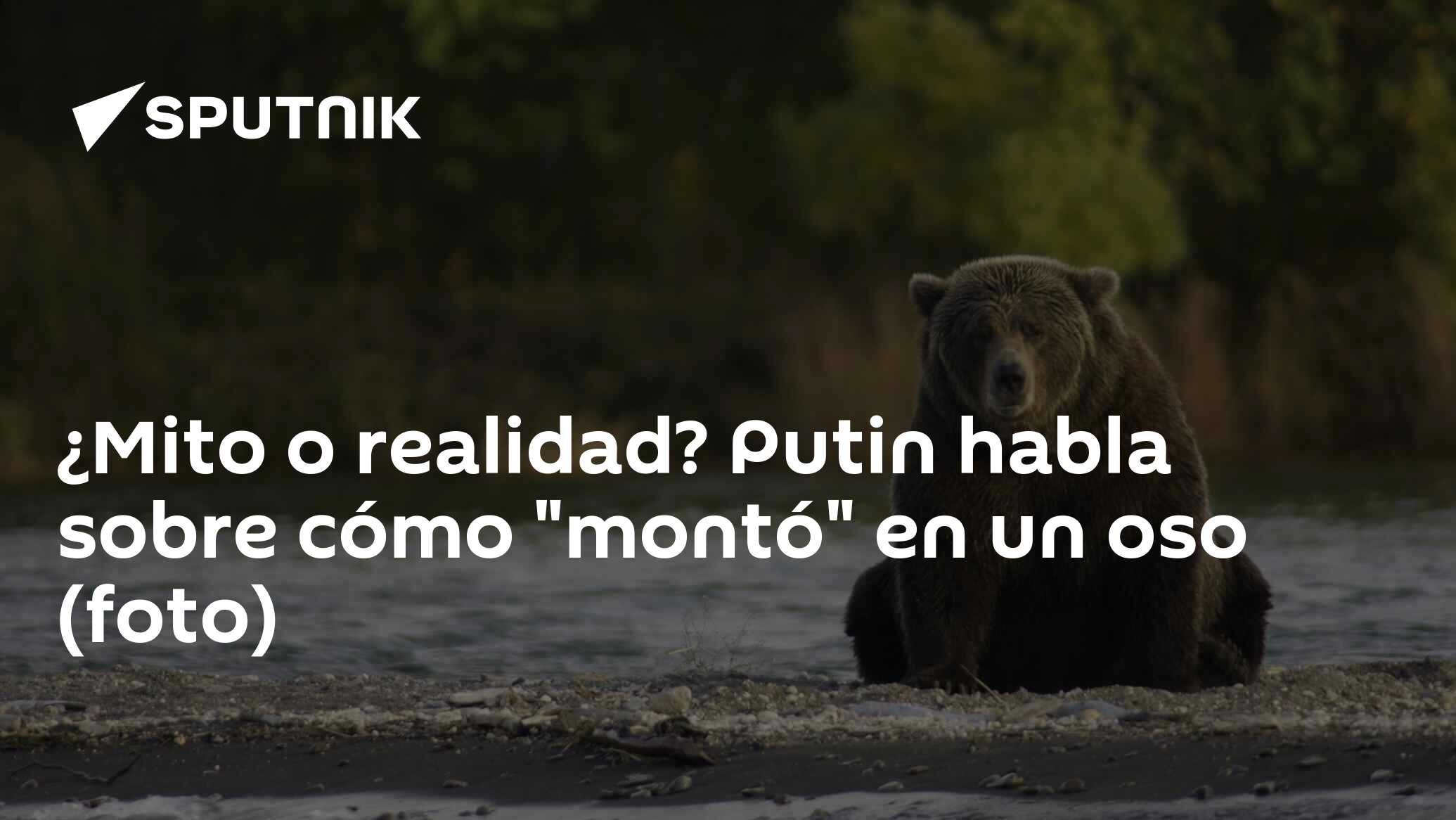 ¿Mito o realidad? Putin habla sobre сómo "montó" en un oso (foto) - 10. ...
