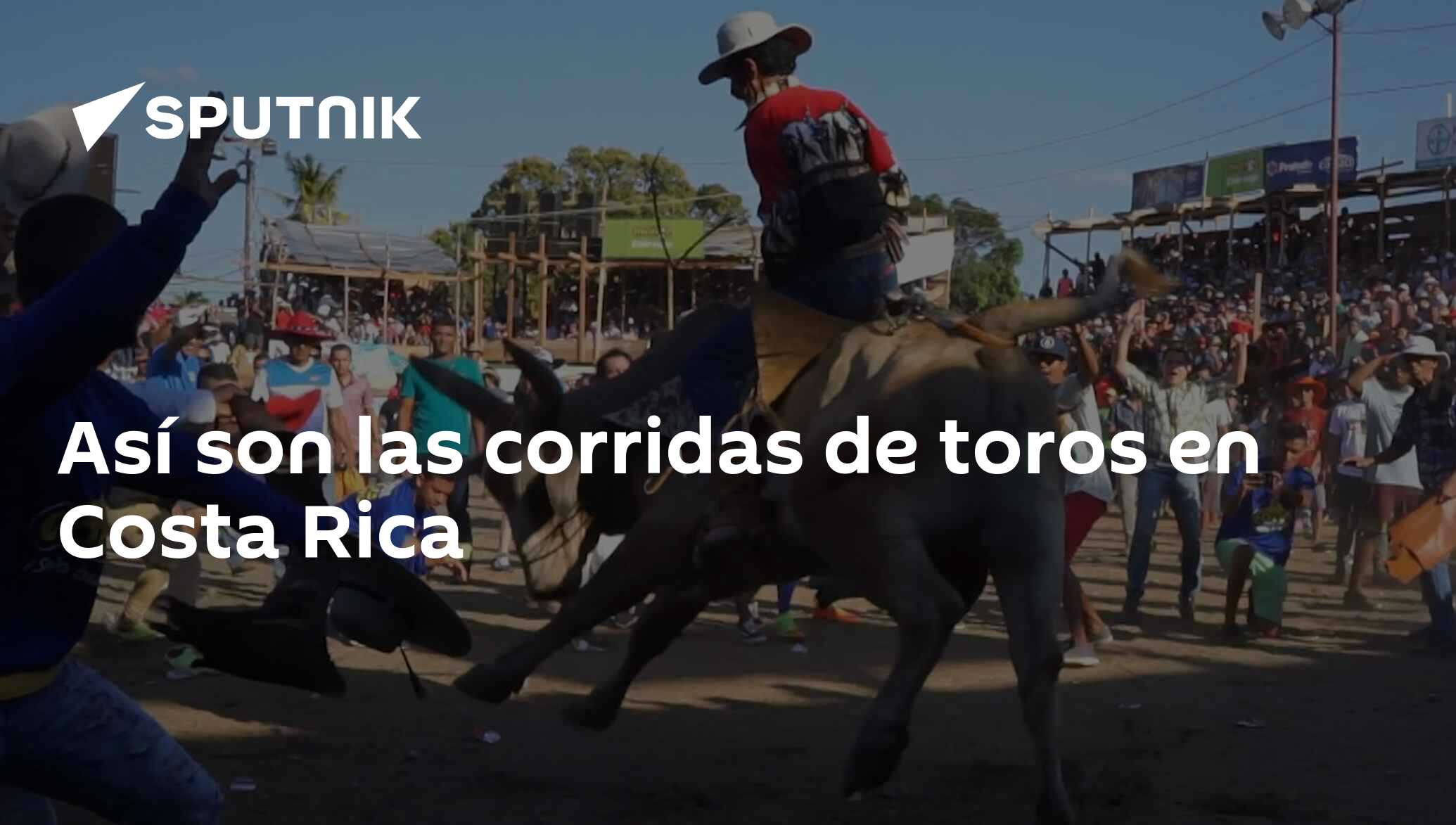 Así son las corridas de toros en Costa Rica - 21.01.2019, Sputnik Mundo