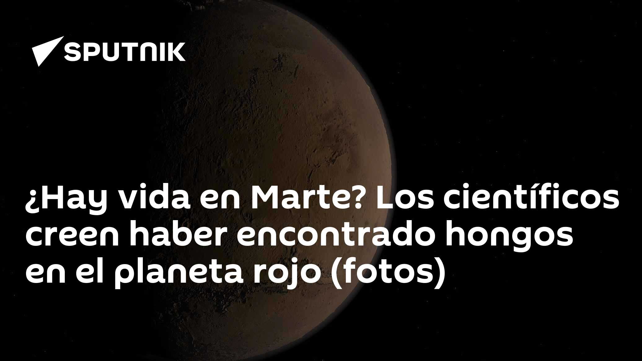 ¿Hay vida en Marte? Los científicos creen haber encontrado hongos en el ...