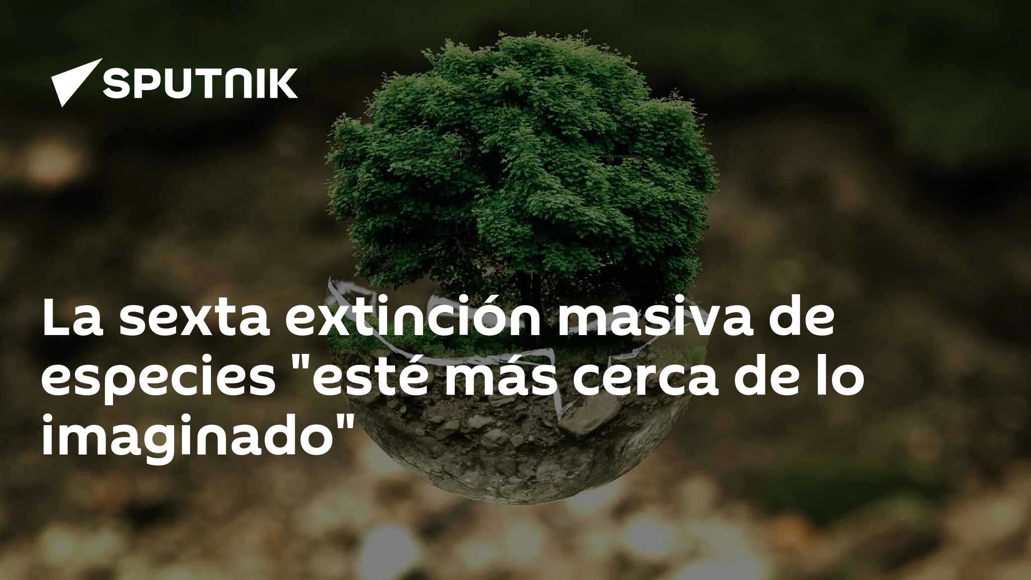 La sexta extinción masiva de especies "esté más cerca de lo imaginado ...