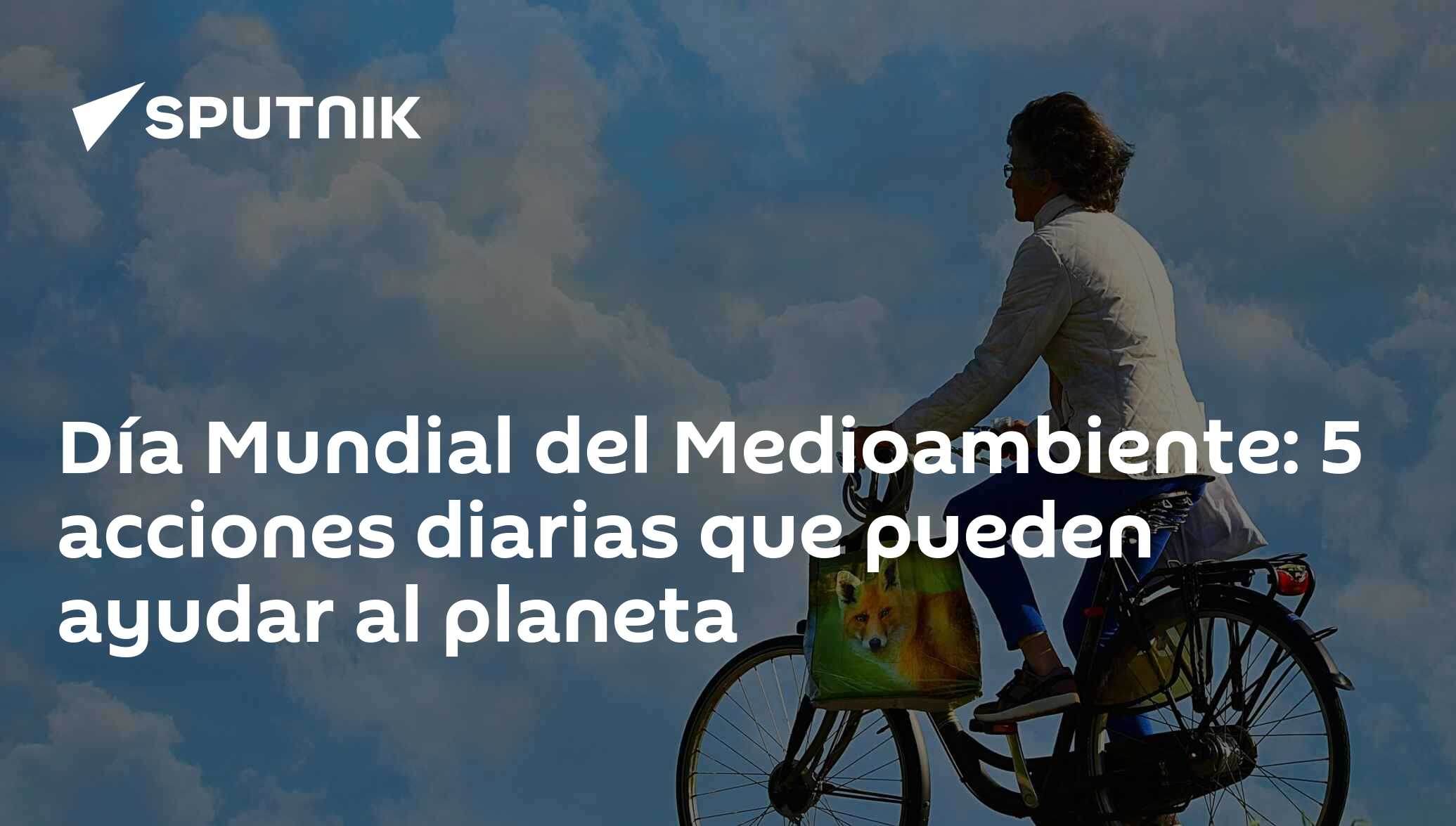 Día Mundial del Medioambiente: 5 acciones diarias que pueden ayudar al ...