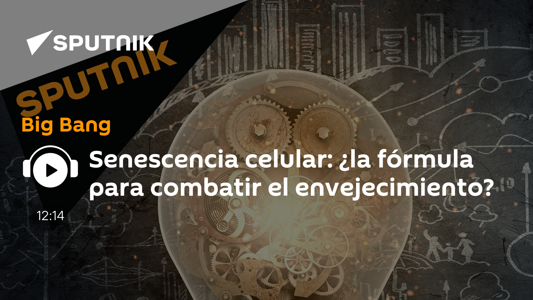 Senescencia celular: ¿la fórmula para combatir el envejecimiento? - 02. ...