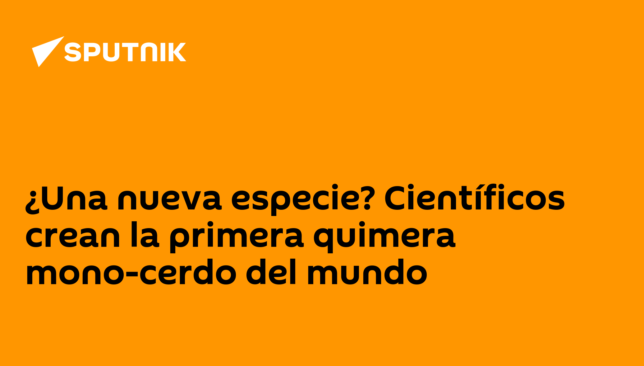 ¿Una nueva especie? Científicos crean la primera quimera mono-cerdo del ...