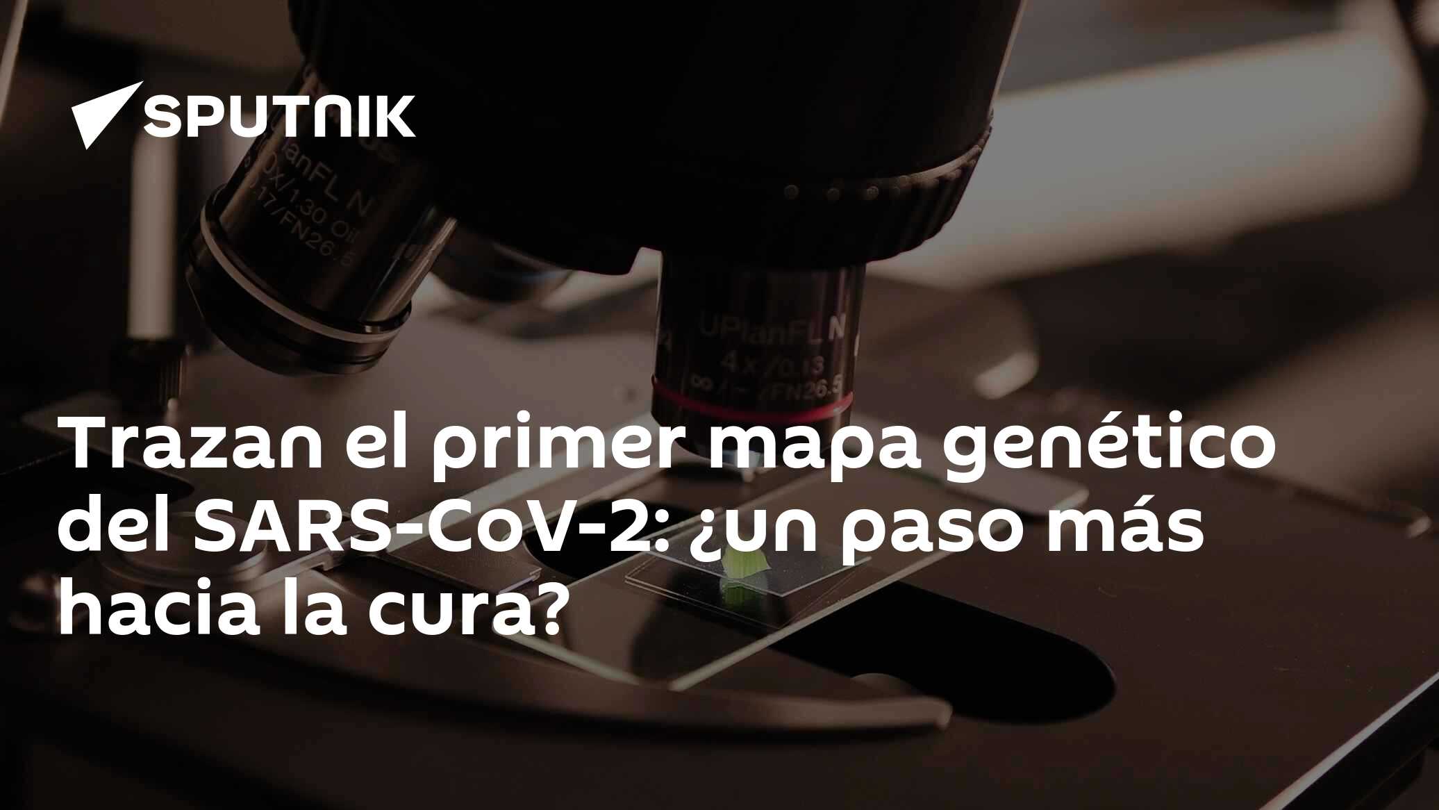 Trazan el primer mapa genético del SARS-CoV-2: ¿un paso más hacia la ...