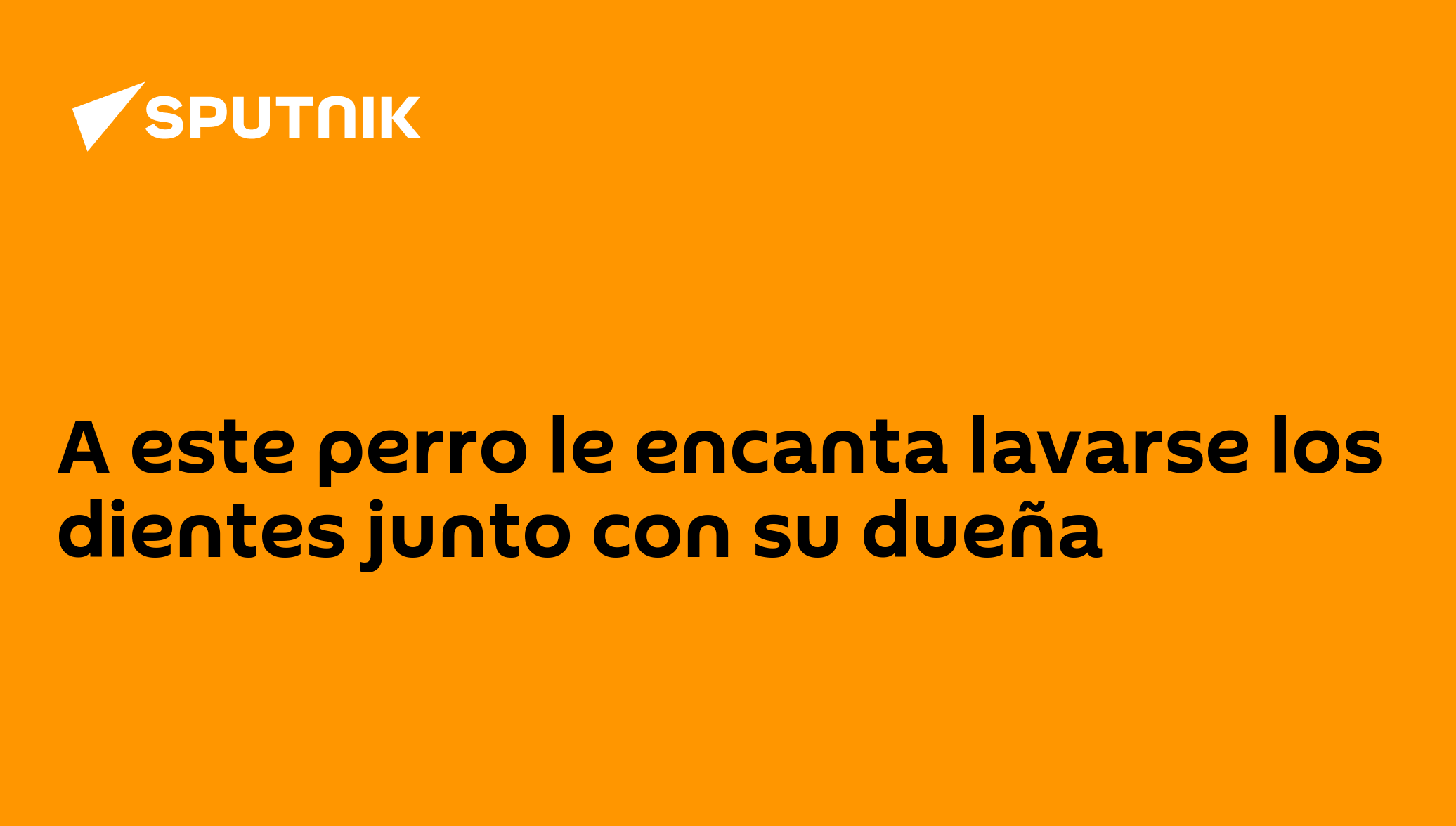 A este perro le encanta lavarse los dientes junto con su dueña - 27.04. ...
