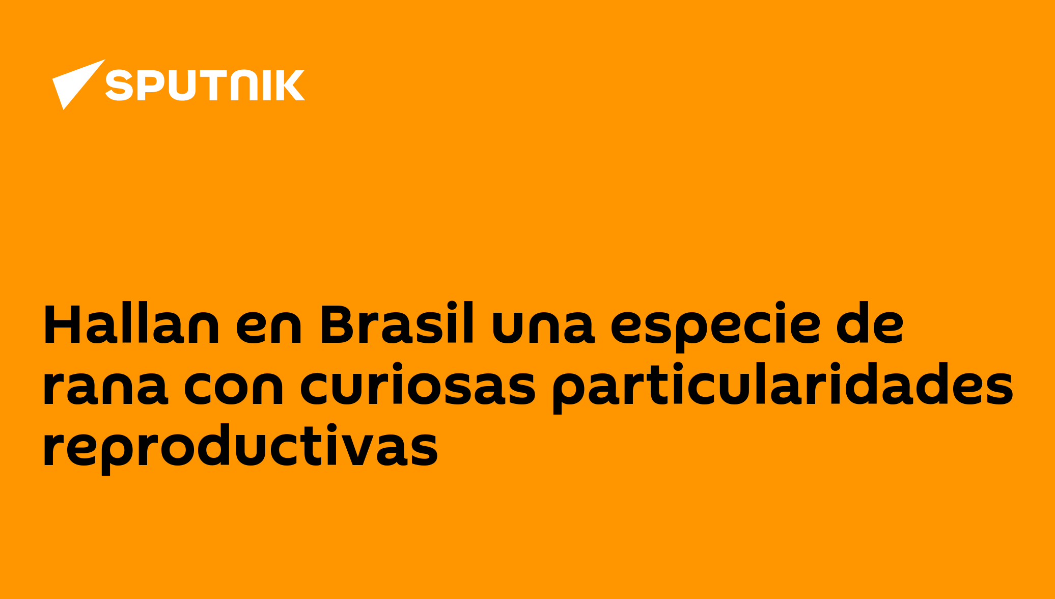 Hallan en Brasil una especie de rana con curiosas particularidades ...