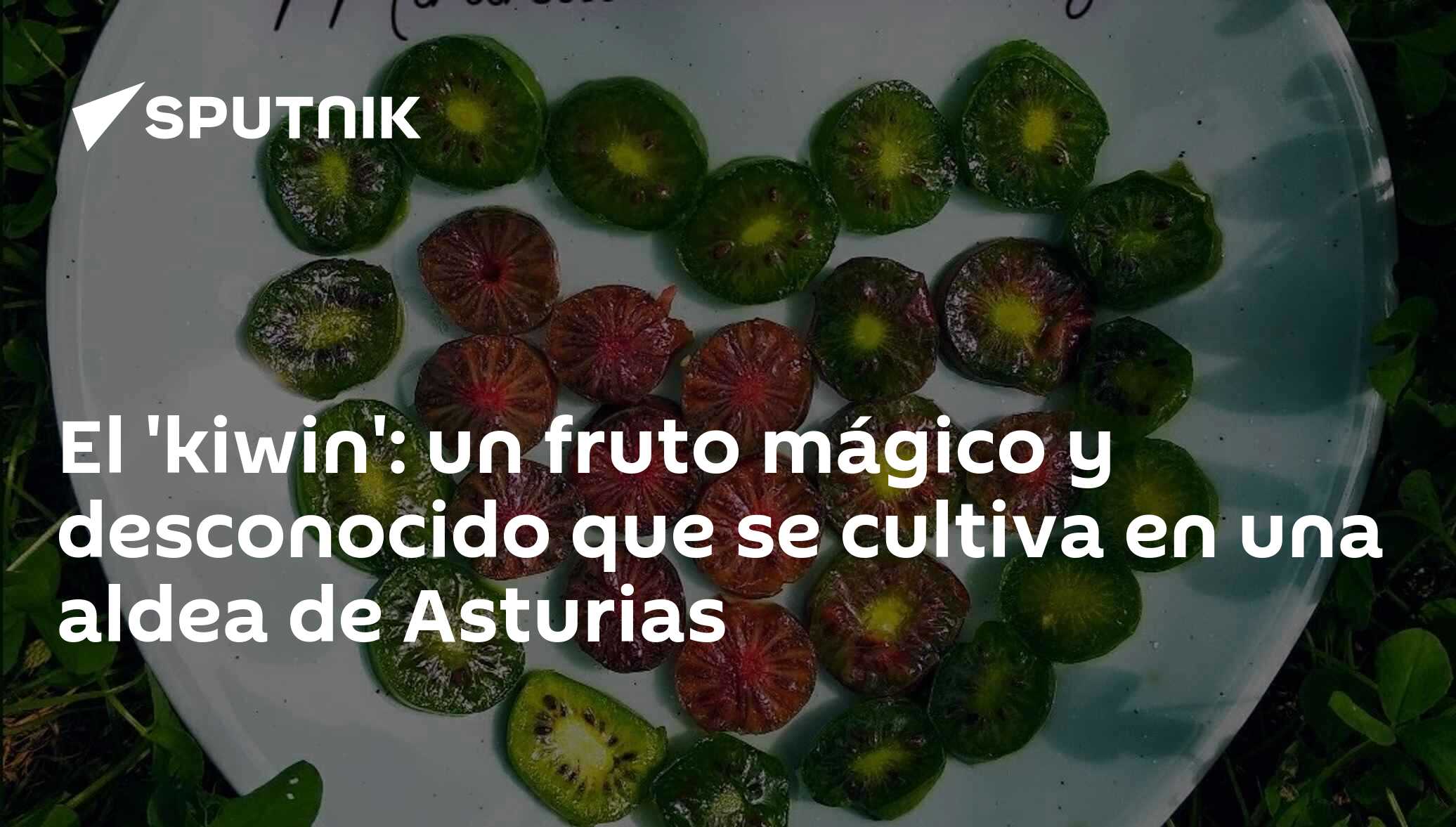 El 'kiwin': un fruto mágico y desconocido que se cultiva en una aldea ...