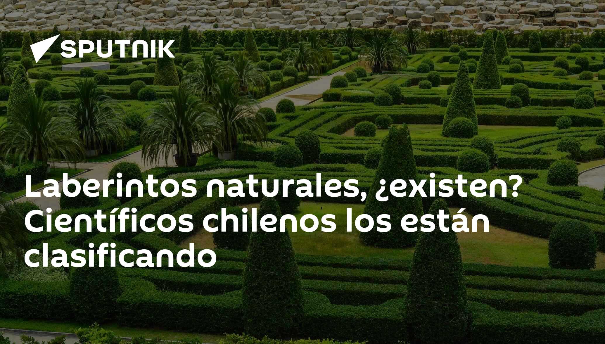 Laberintos naturales, ¿existen? Científicos chilenos los están ...