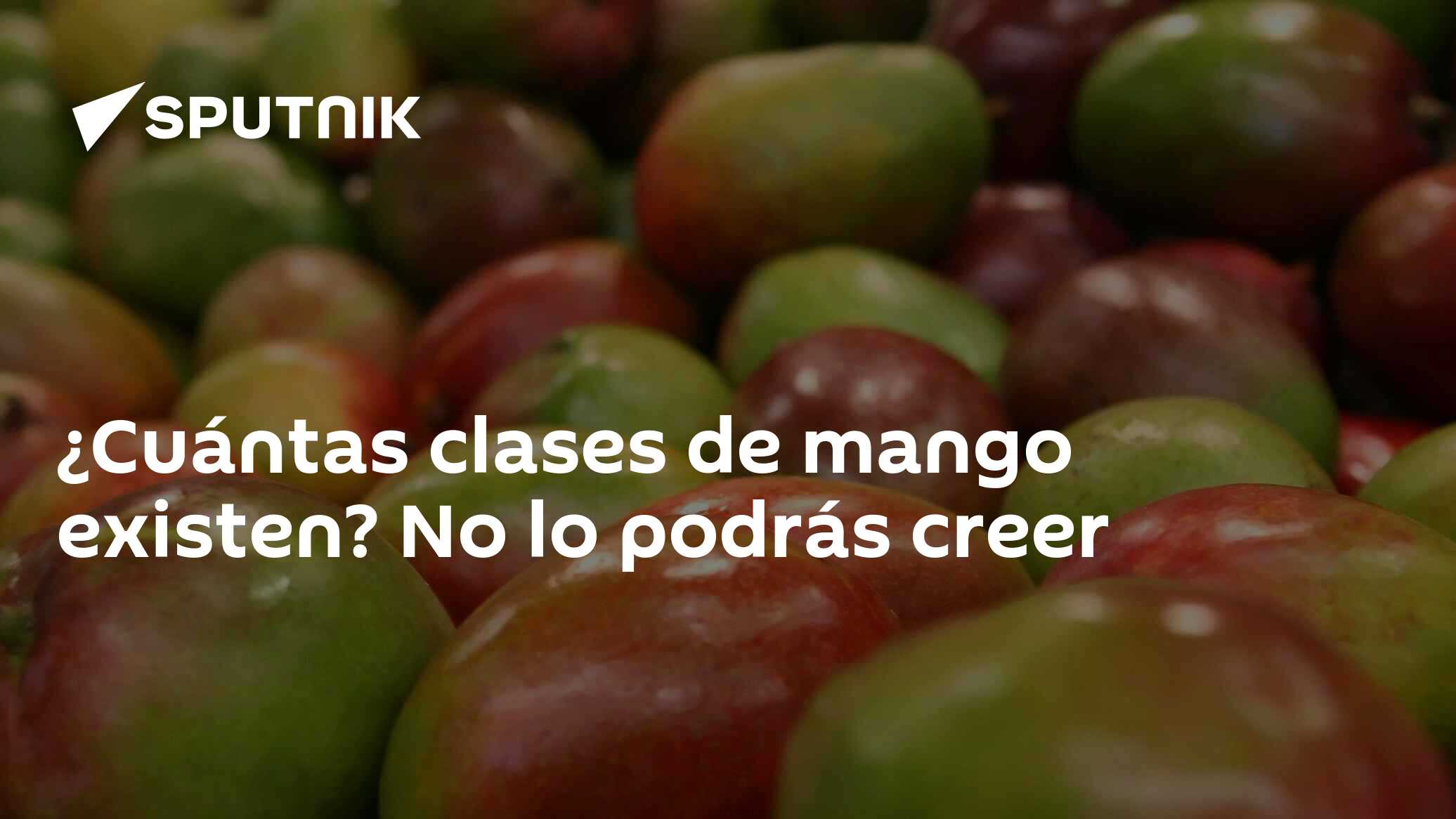 ¿Cuántas clases de mango existen? No lo podrás creer - 27.08.2021 ...