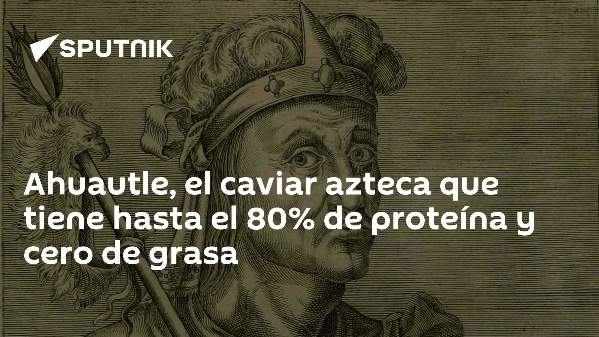 Ahuautle, el caviar azteca que tiene hasta el 80% de proteína y cero de ...