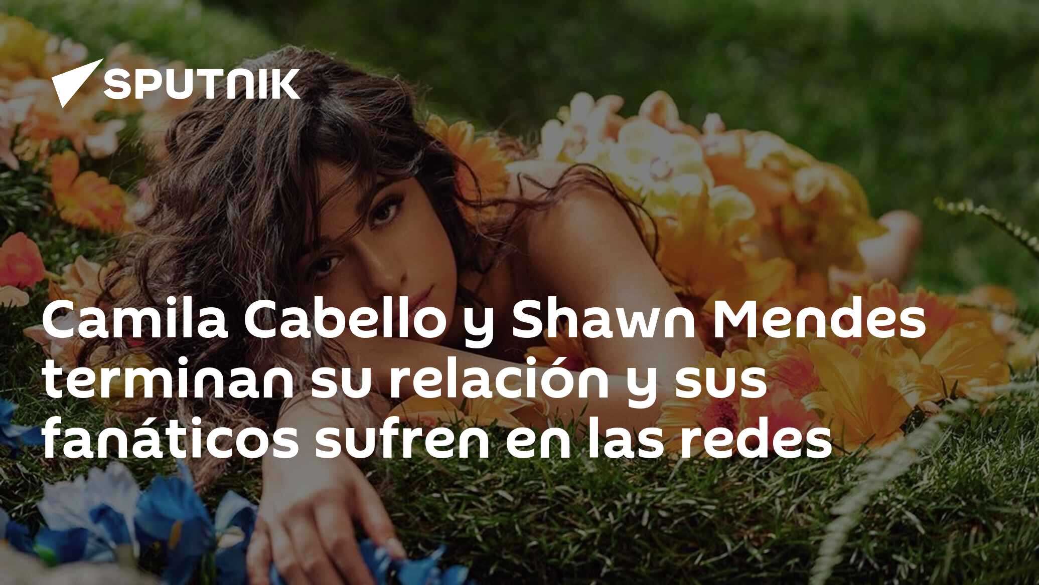 Camila Cabello y Shawn Mendes terminan su relación y sus fanáticos sufren en las redes - 18.11. ...