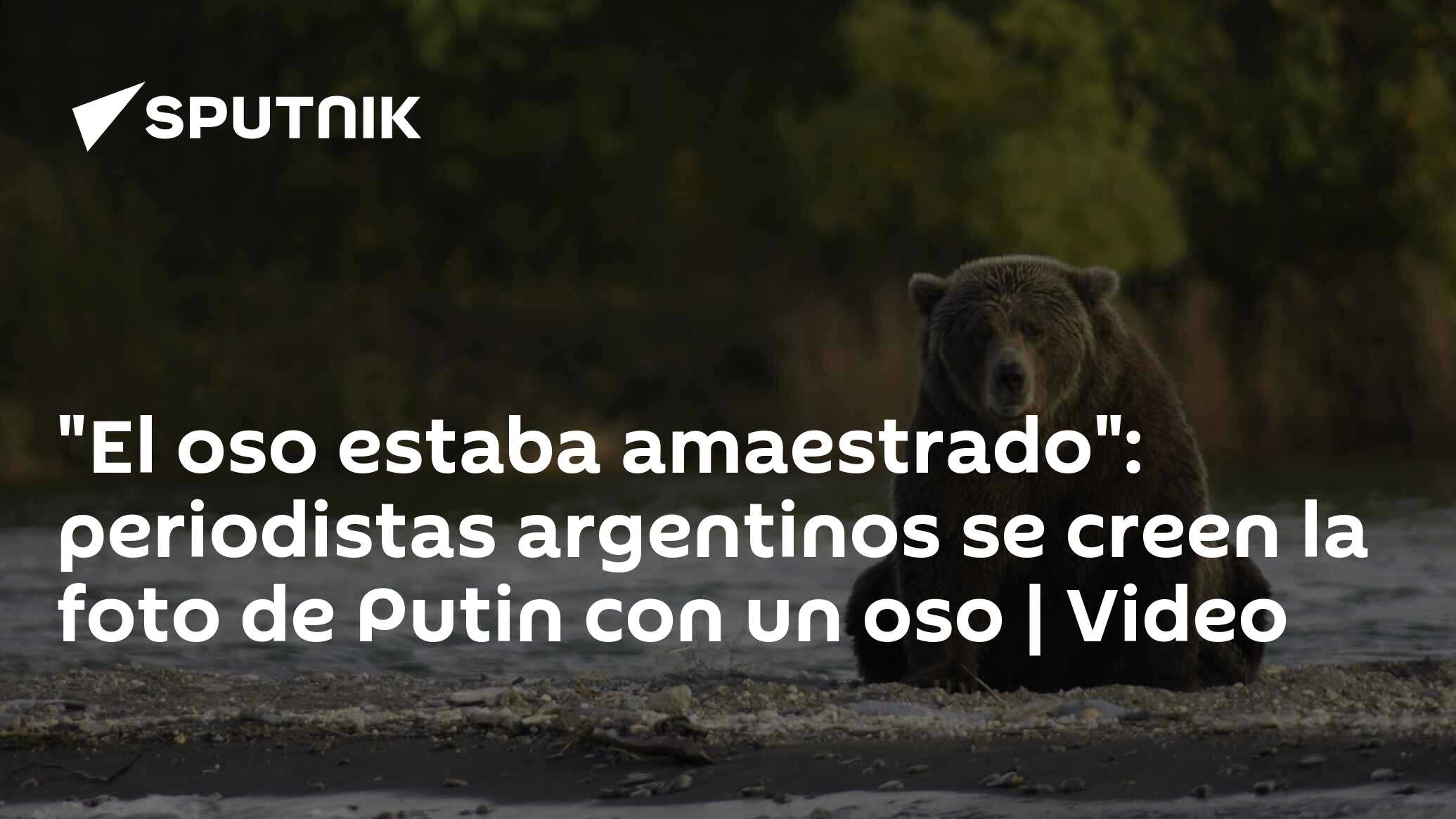"El oso estaba amaestrado": periodistas argentinos se creen la foto de ...