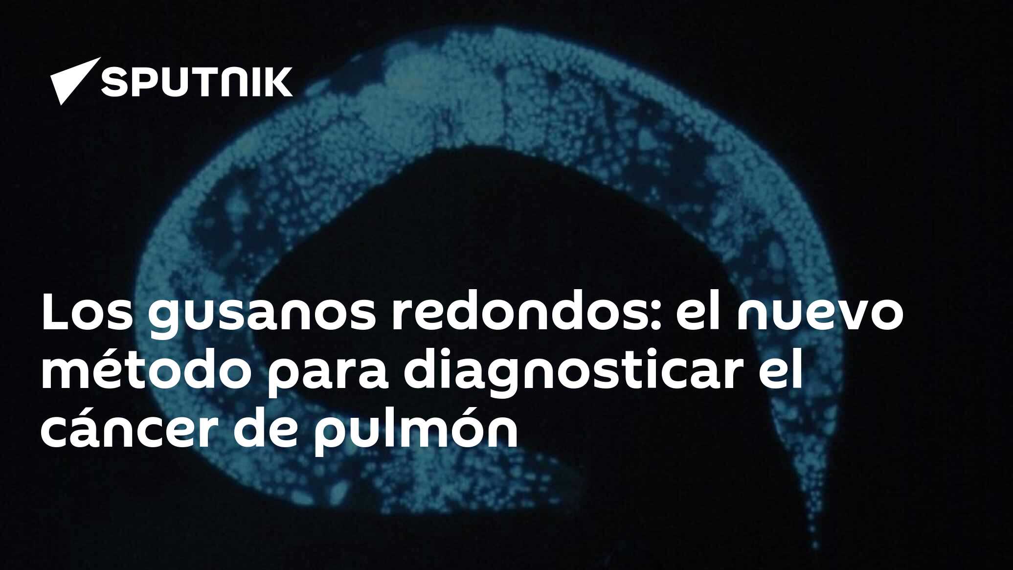 Los gusanos redondos: el nuevo método para diagnosticar el cáncer de ... Los gusanos redondos: el nuevo método para diagnosticar el cáncer de ...