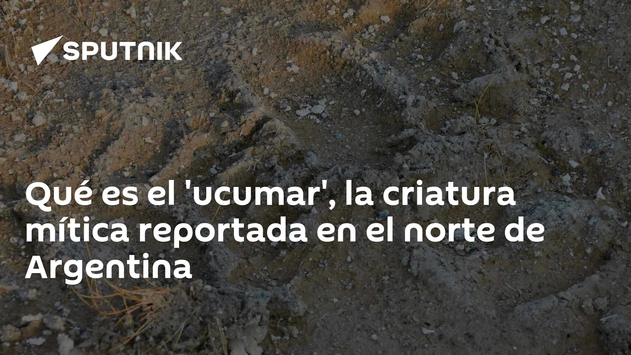 Qué es el 'ucumar', la criatura mítica reportada en el norte de ...