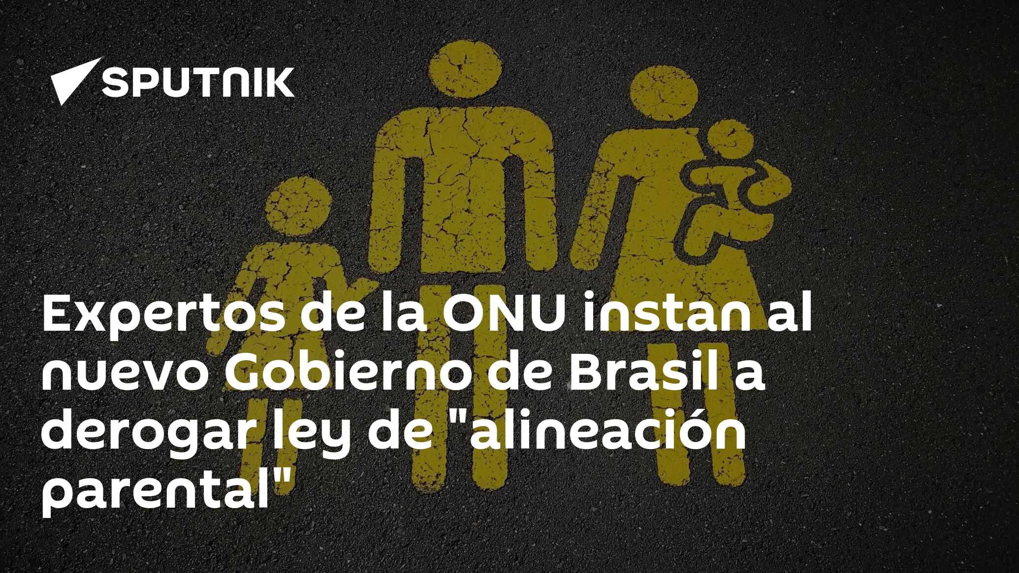 Expertos de la ONU instan al nuevo Gobierno de Brasil a derogar ley de ...
