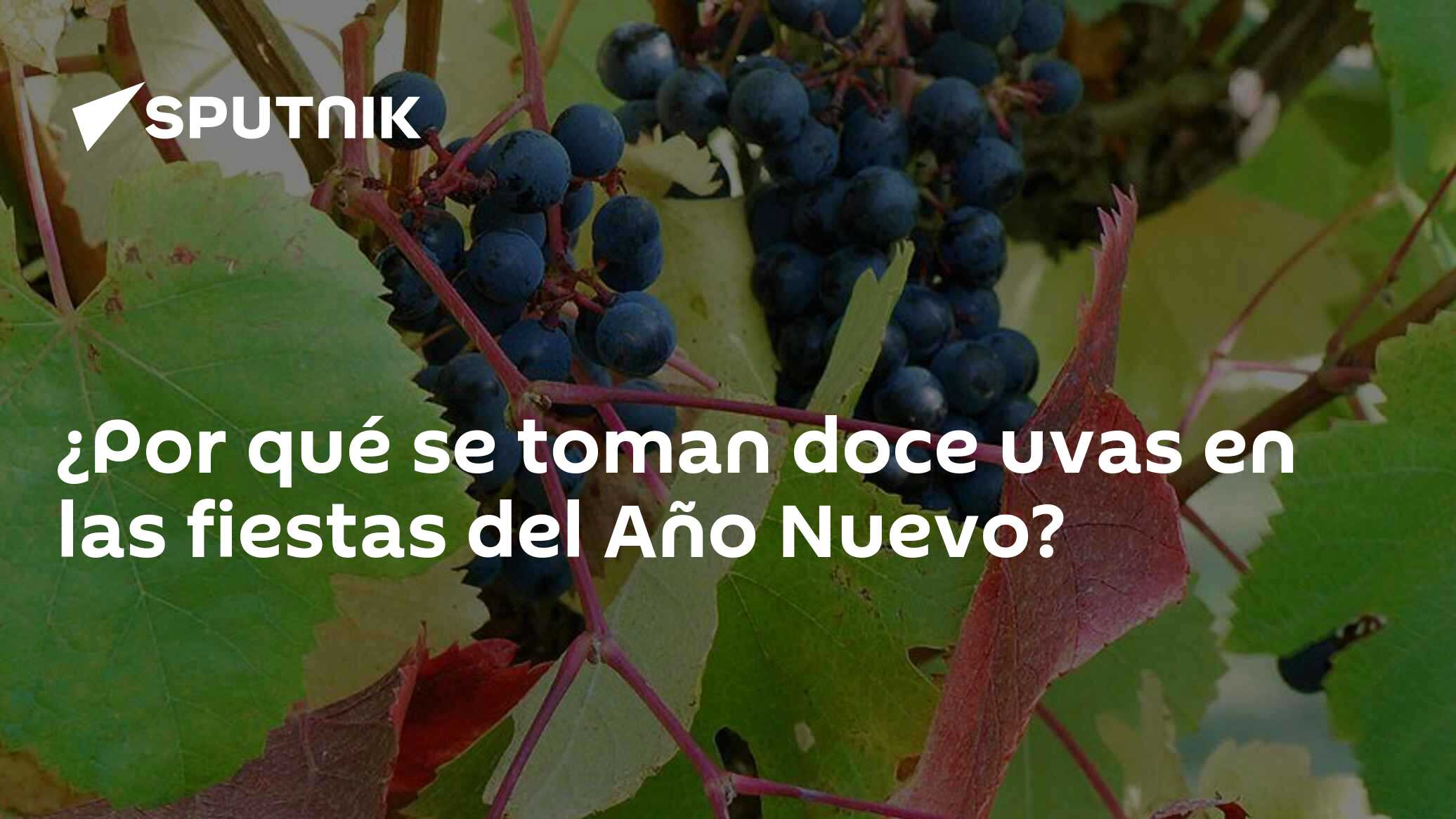 ¿Por qué se toman doce uvas en las fiestas del Año Nuevo? - 31.12.2022 ...