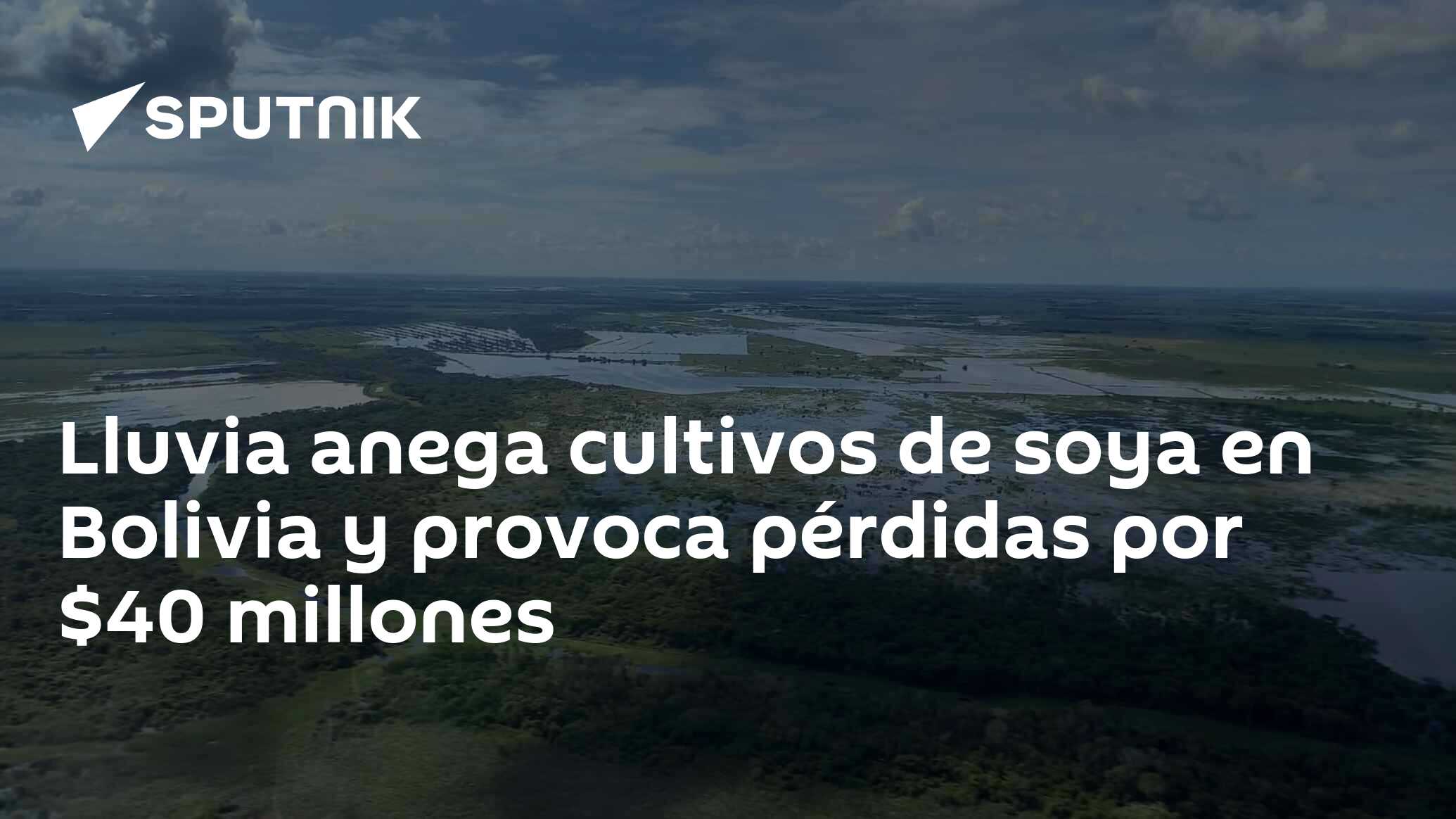 Lluvia anega cultivos de soya en Bolivia y provoca pérdidas por $40 ...