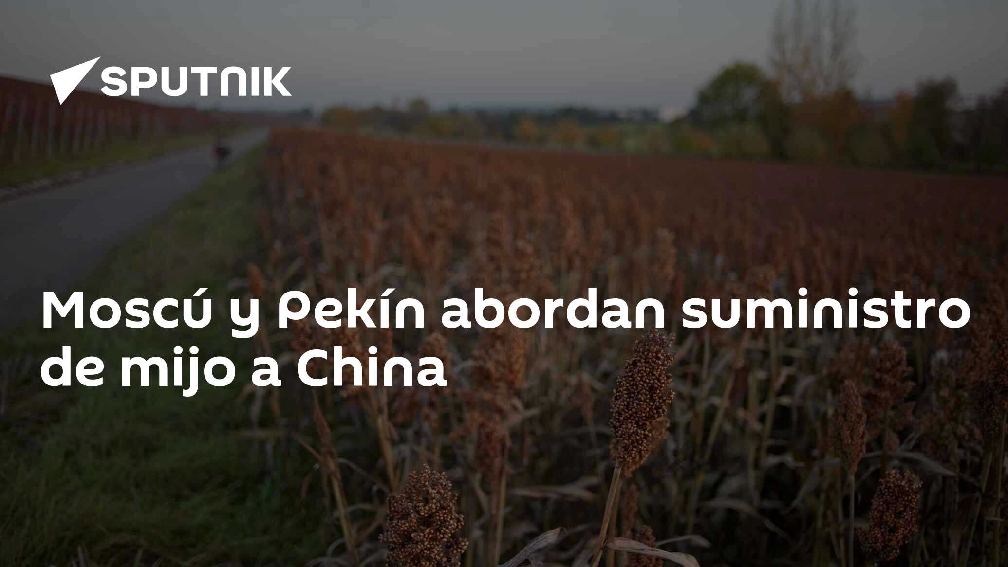 Moscú y Pekín abordan suministro de mijo a China - 13.04.2023, Sputnik ...