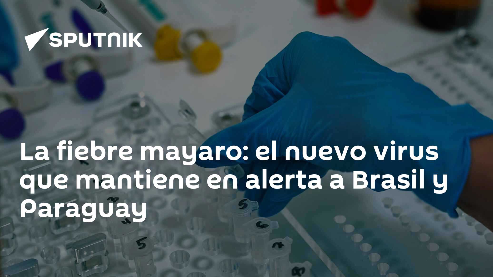La fiebre mayaro: el nuevo virus que mantiene en alerta a Brasil y ...