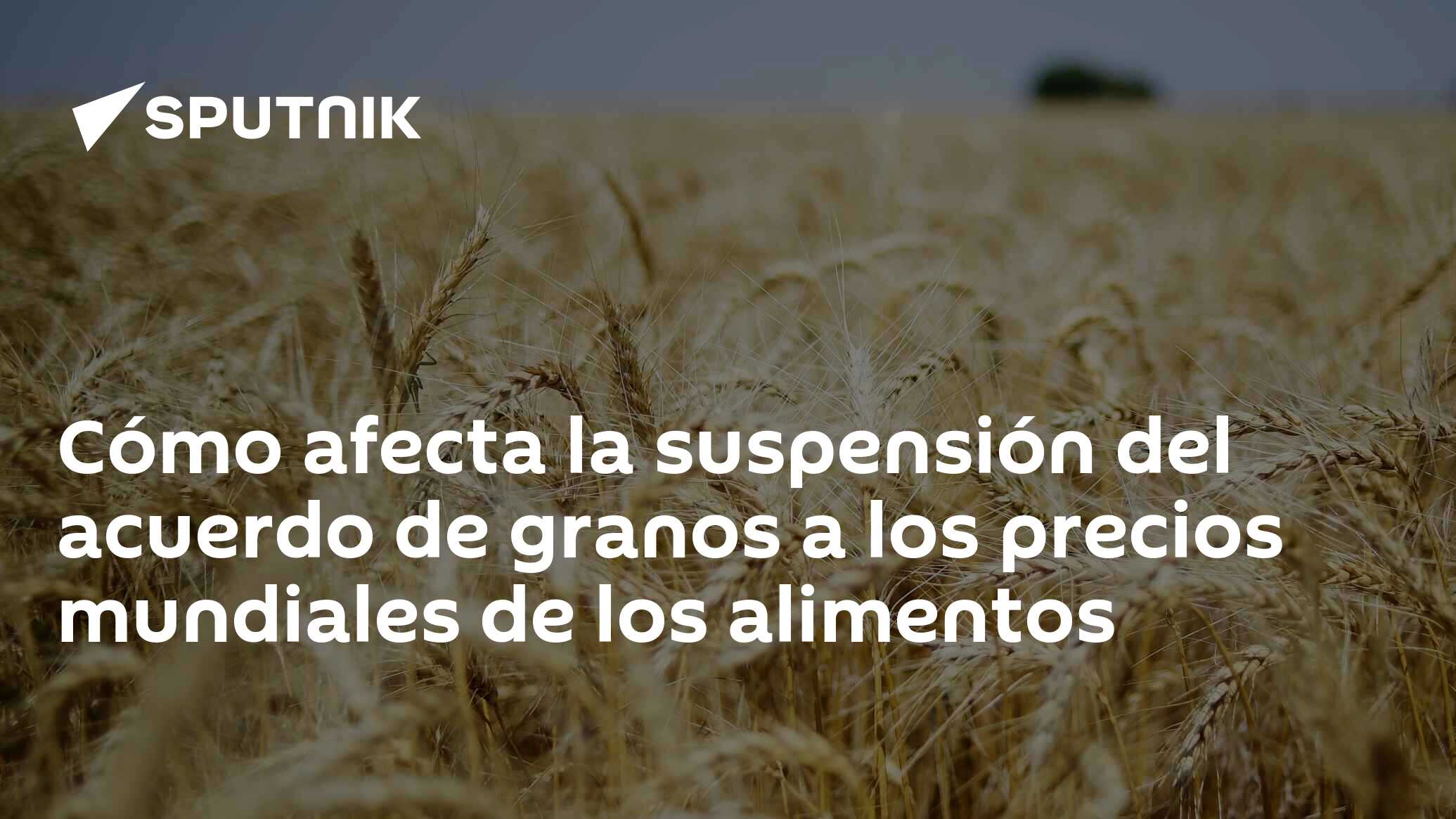 Cómo afecta la suspensión del acuerdo de granos a los precios mundiales de los alimentos - 18.07 ...