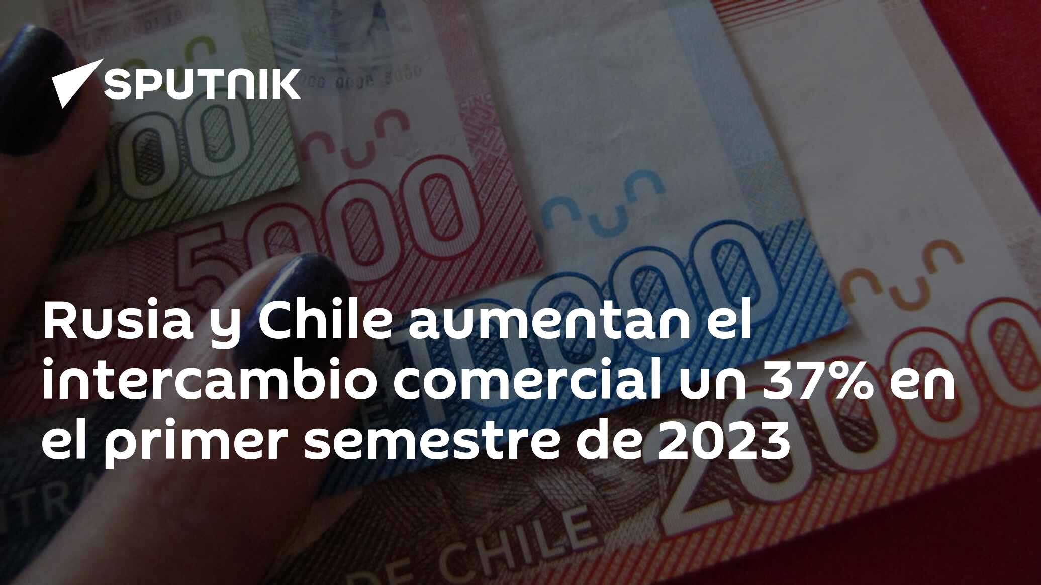 Rusia y Chile aumentan el intercambio comercial un 37% en el primer ...