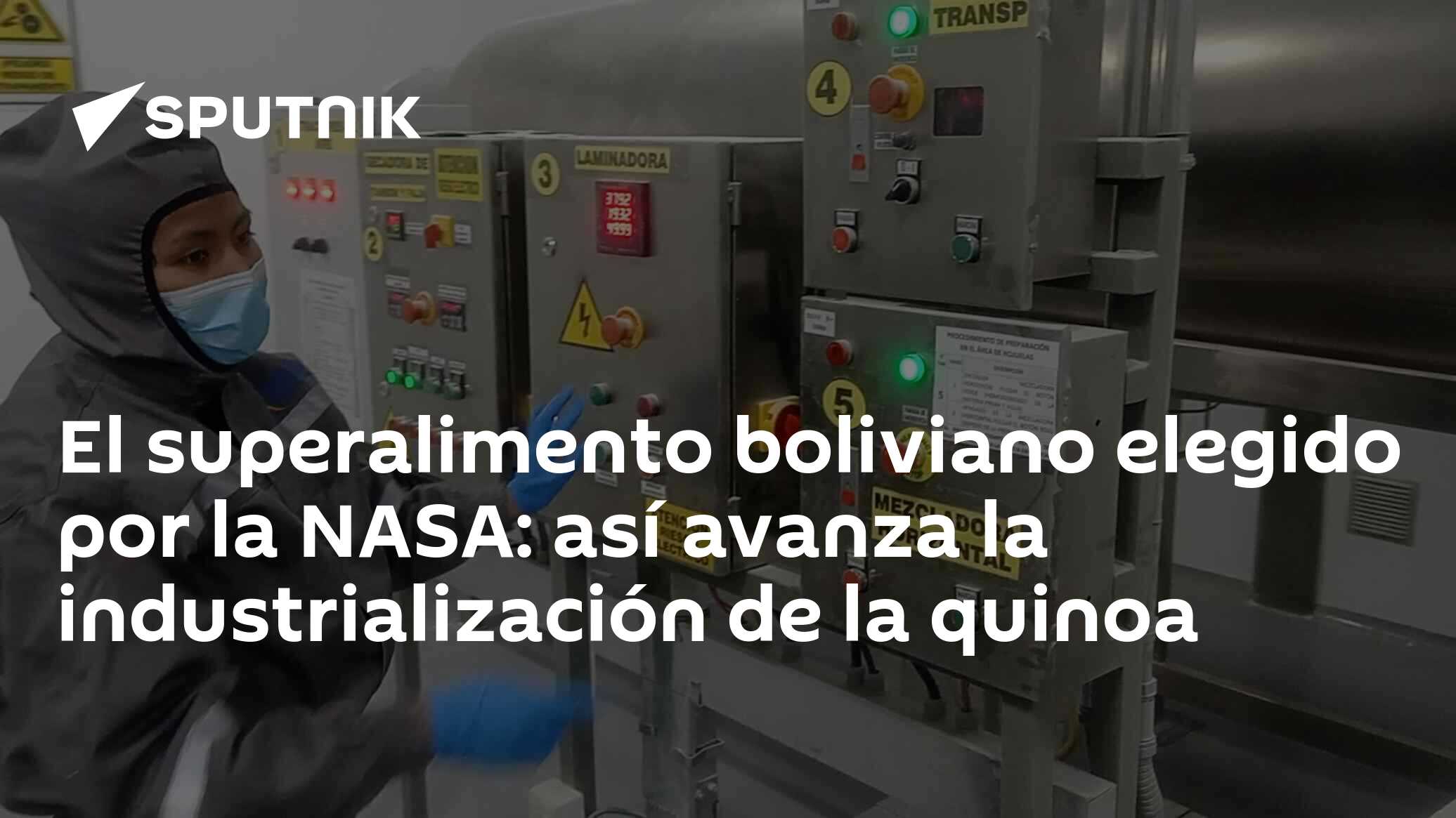 El superalimento boliviano elegido por la NASA: así avanza la ...