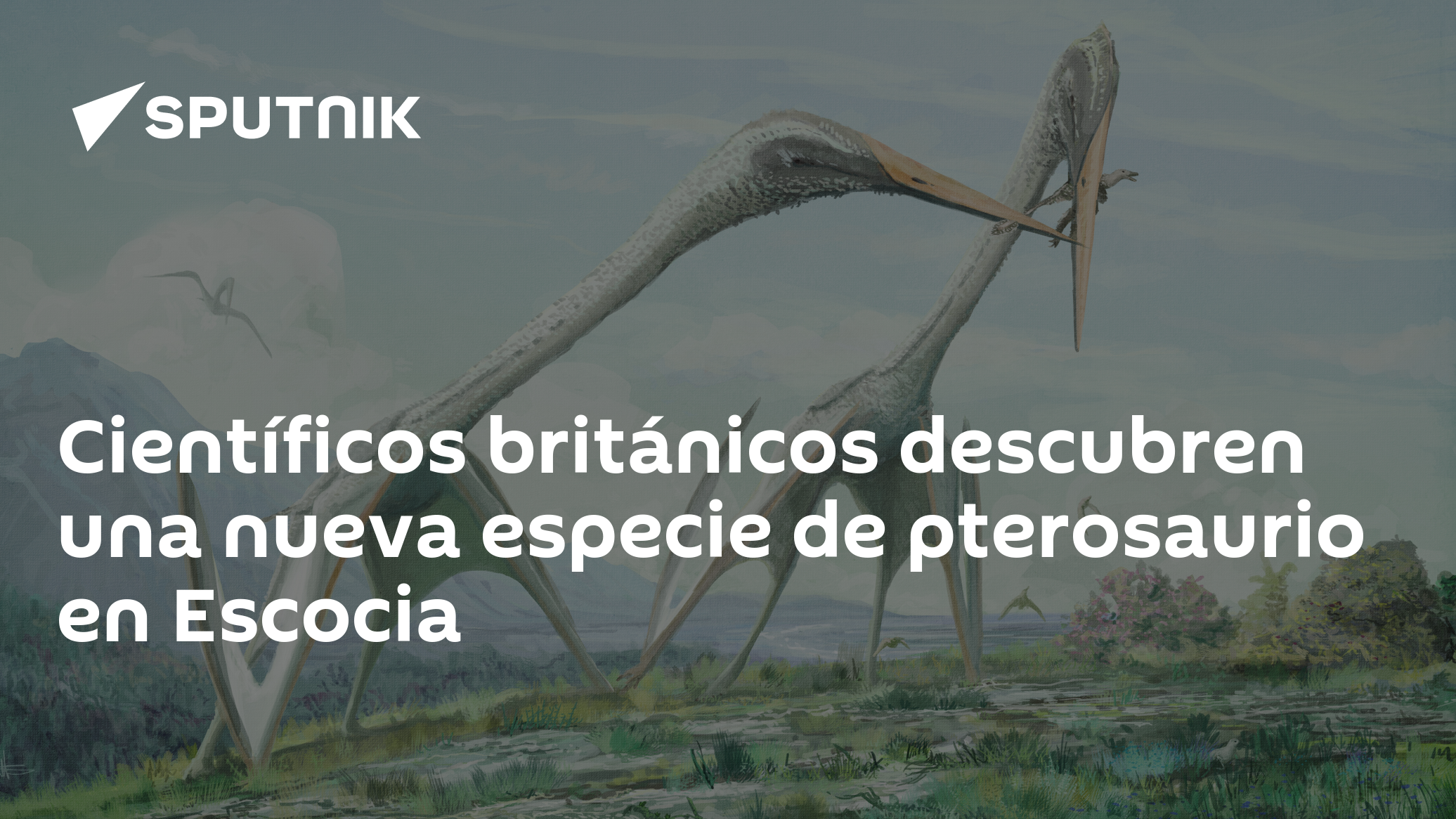 Científicos británicos descubren una nueva especie de pterosaurio en ...
