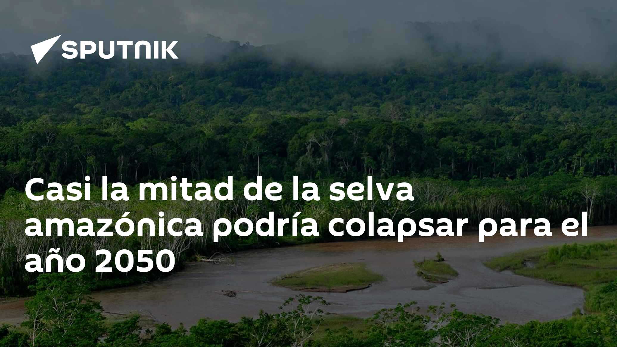 Casi la mitad de la selva amazónica podría colapsar para el año 2050 ...