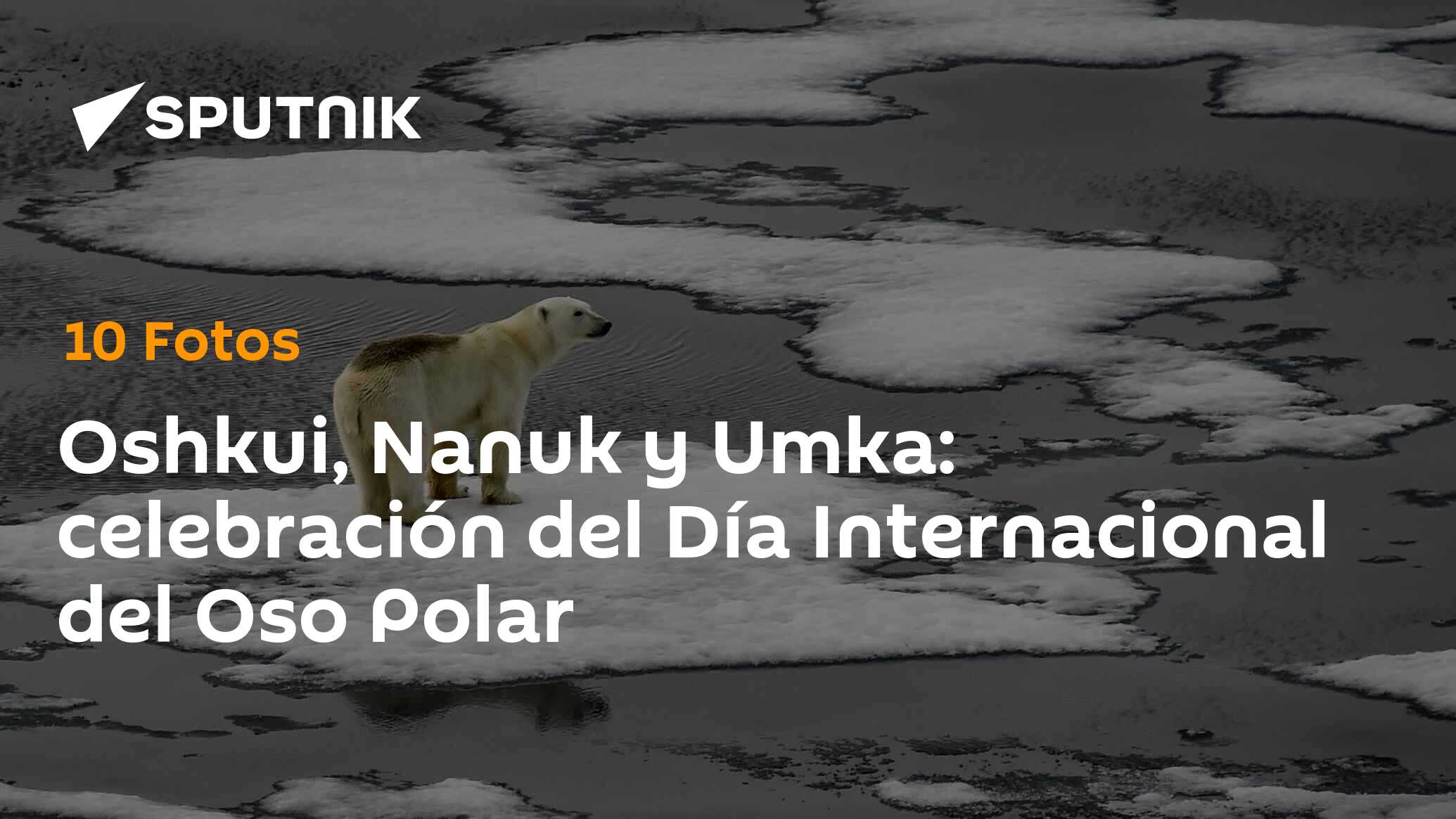 Oshkui, Nanuk y Umka: celebración del Día Internacional del Oso Polar ...