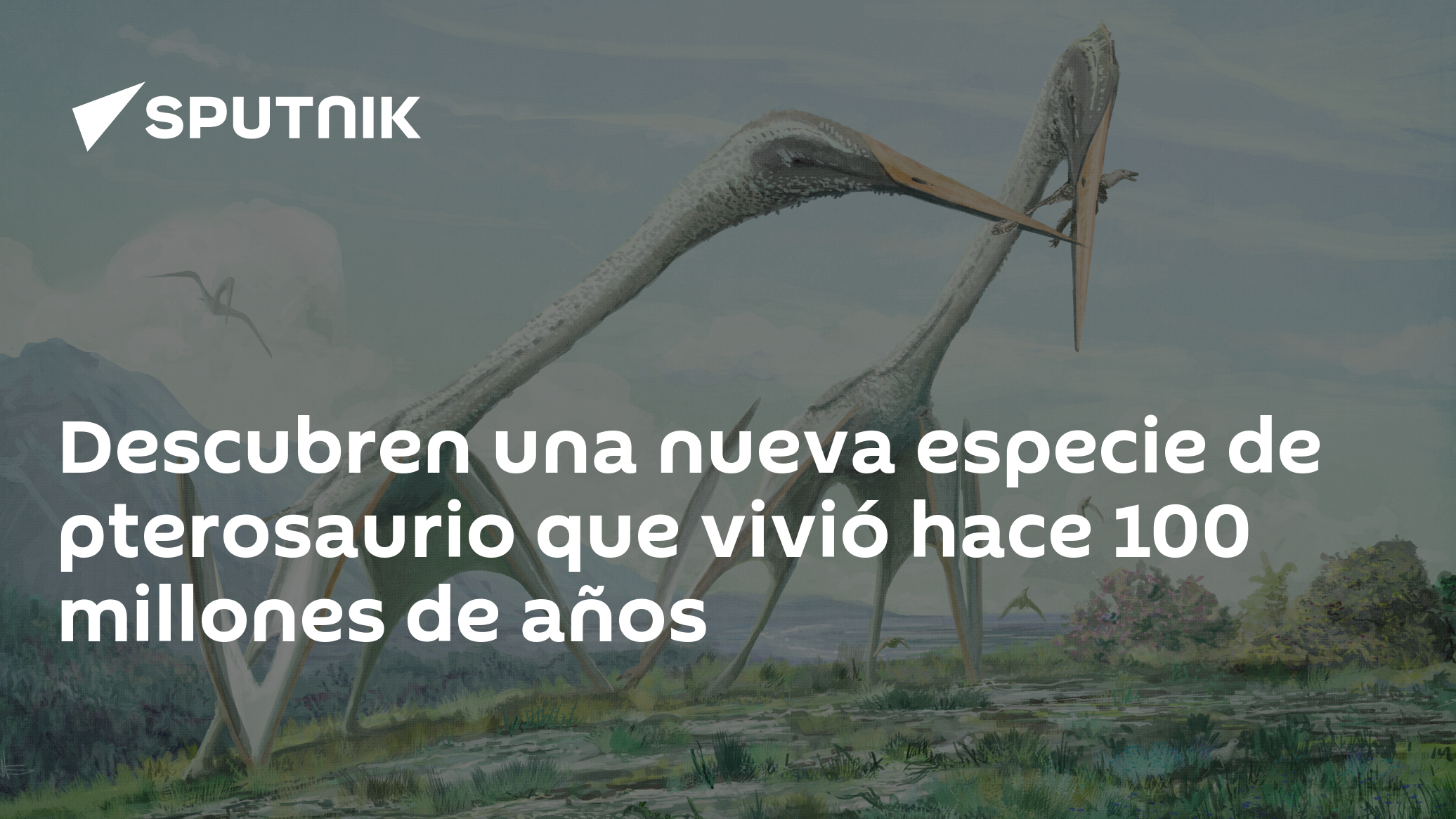 Descubren una nueva especie de pterosaurio que vivió hace 100 millones ...