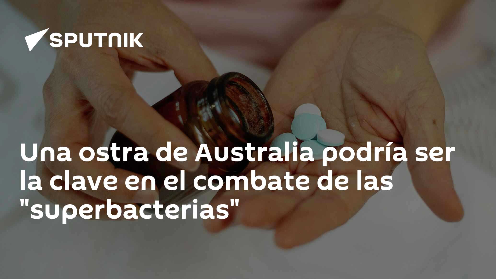 Una ostra de Australia podría ser la clave en el combate de las "superbacterias" - 22.01.2025 ...