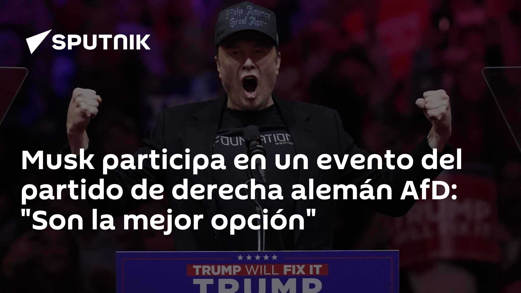 Musk participa en un evento del partido de derecha alemán AfD: "Son la ...