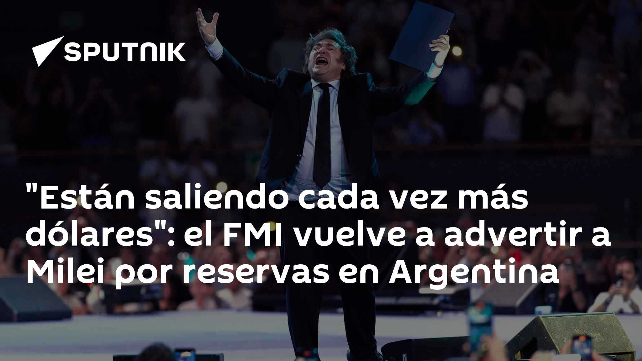 "Están saliendo cada vez más dólares": el FMI vuelve a advertir a Milei ...