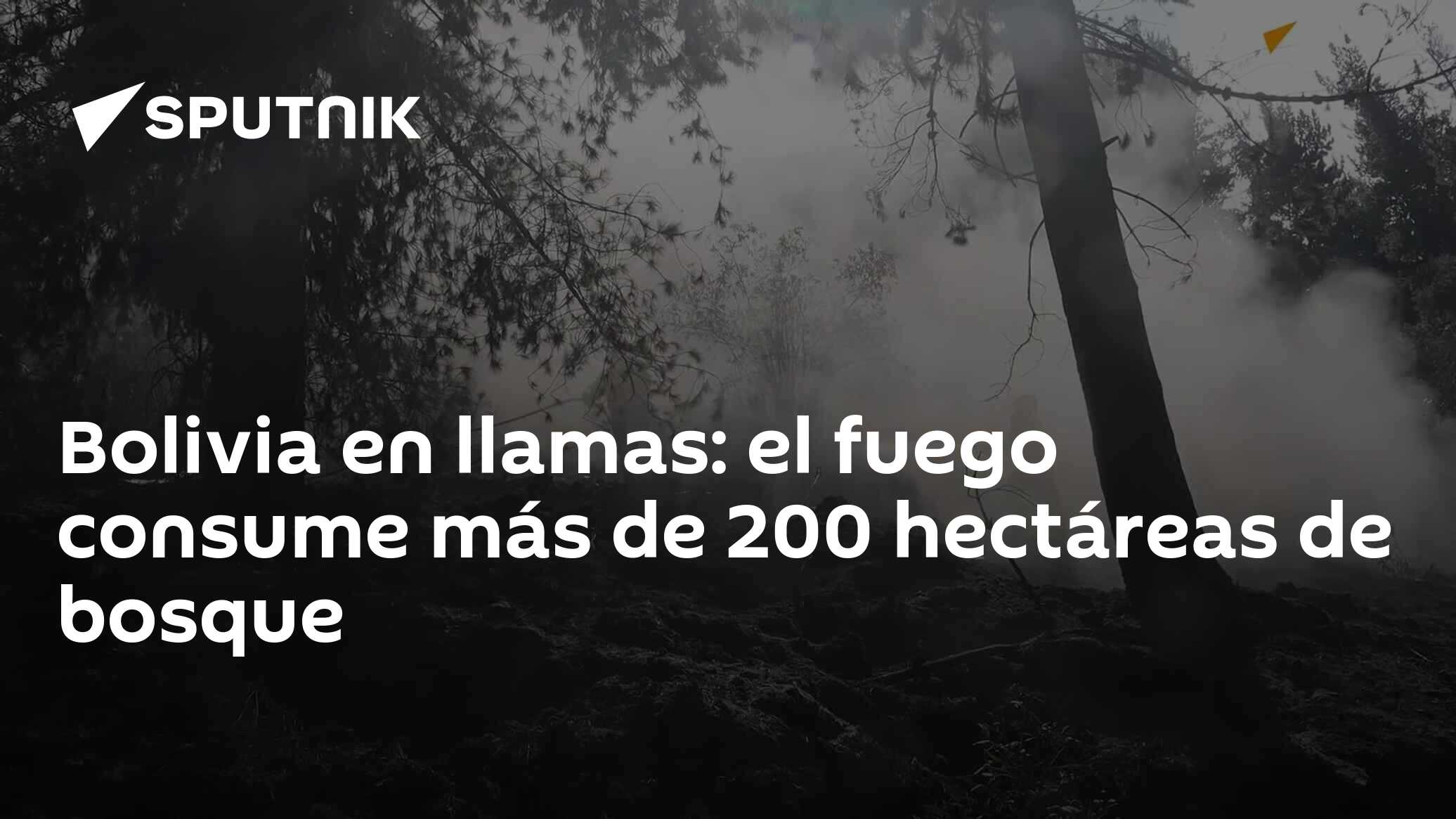 Bolivia en llamas: el fuego consume más de 200 hectáreas de bosque - 23 ...