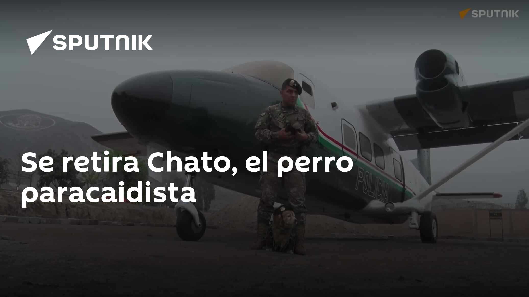 Se retira Chato, el perro paracaidista - 31.08.2025, Sputnik Mundo