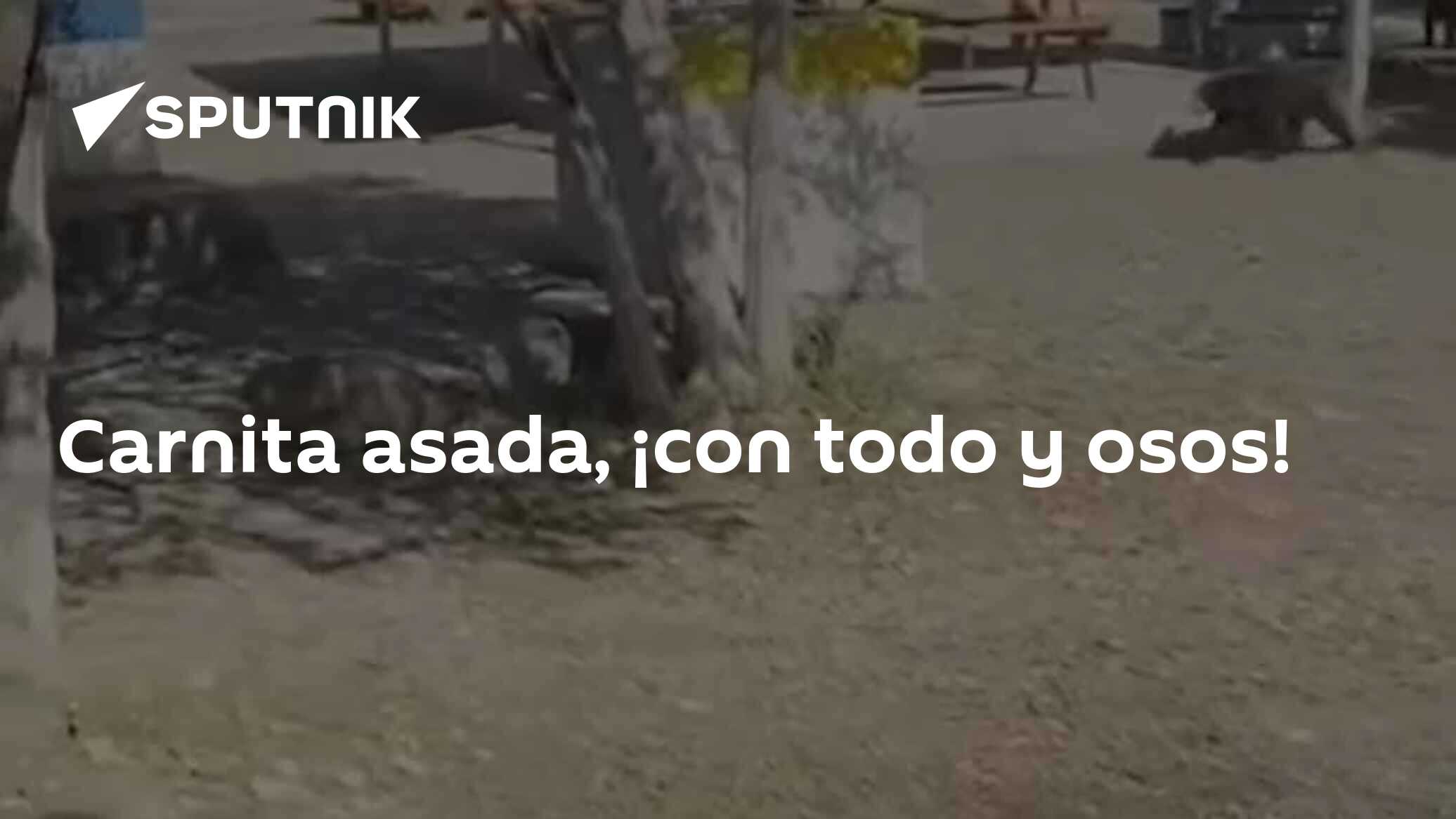 Carnita asada, ¡con todo y osos! - 13.10.2025, Sputnik Mundo