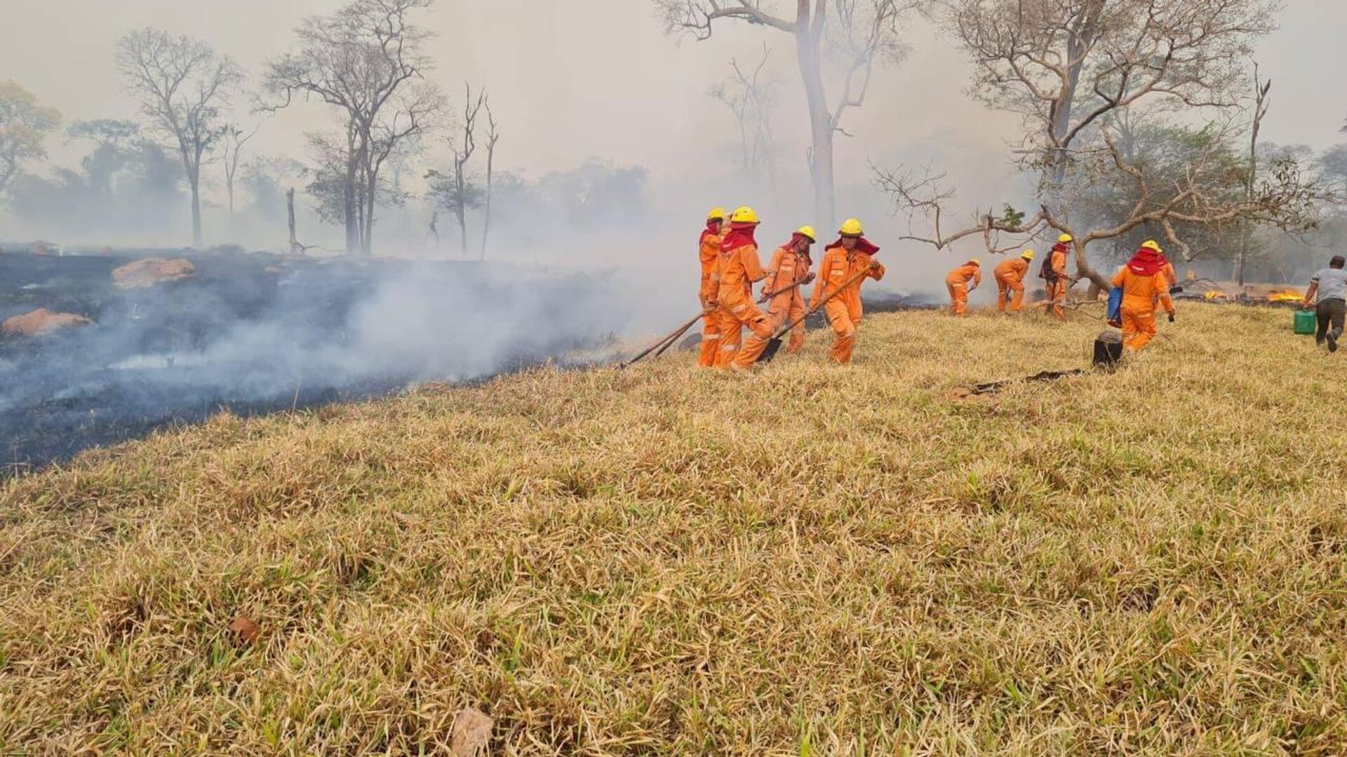 Bolivia contratará aviones cisterna para sofocar los incendios forestales en el país - 09.09. ...