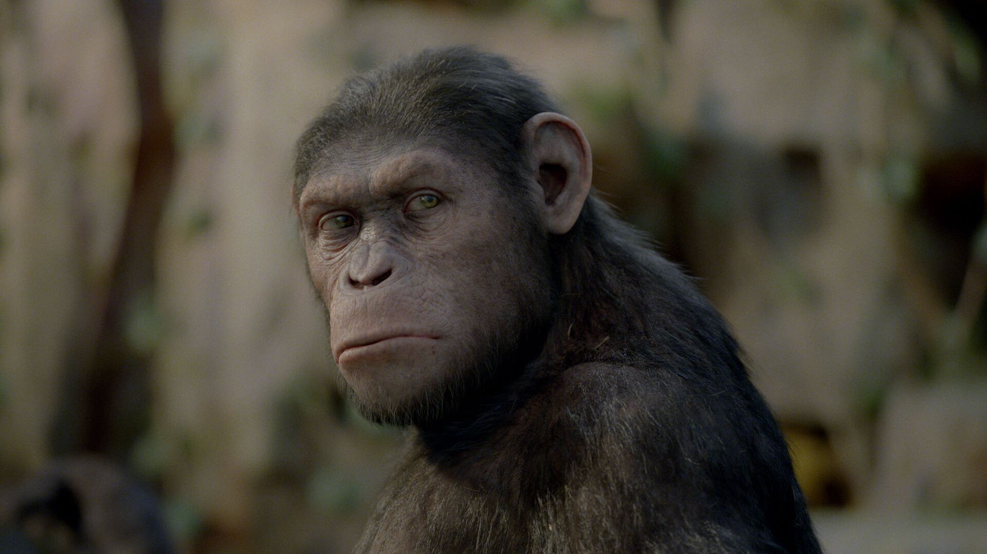 Película “El planeta de los simios: (R)Evolución” mostrada por primera ...